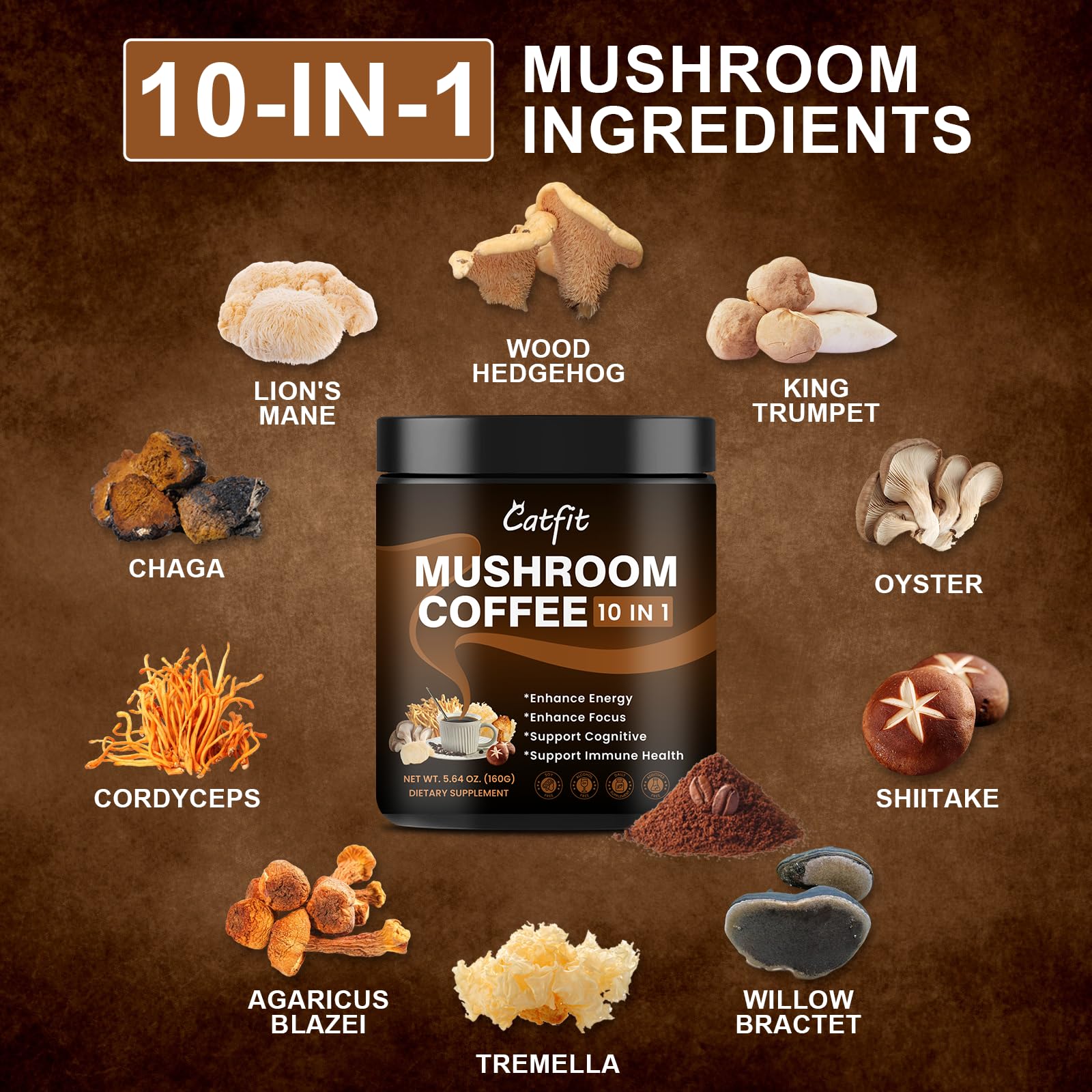 Lion's Mane mushroom for focus