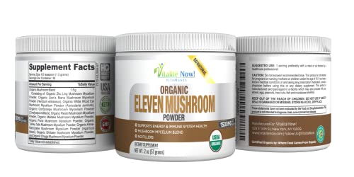 Lion's Mane mushroom for focus
