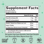 Lion's Mane mushroom for mental clarity