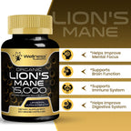 lion's mane mushroom for stress relief