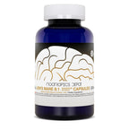 lion's mane mushroom for stress relief