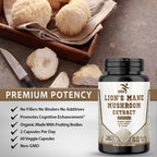 Lion's Mane mushroom for wellness