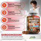 lion's mane mushroom gummies for focus