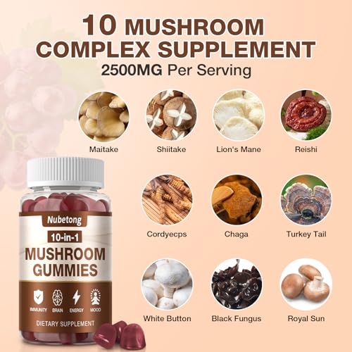 Lion's Mane mushroom gummies for focus