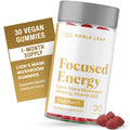 Lion's Mane mushroom gummies for focus