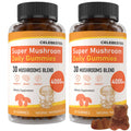 Lion's Mane mushroom gummies for focus
