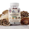 Lion's Mane mushroom gummies for focus