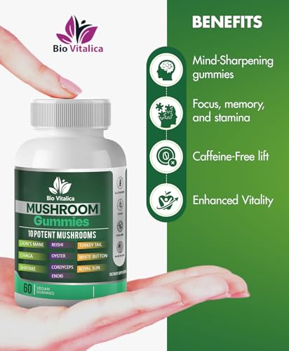 Lion's Mane mushroom gummies for focus