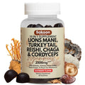 lion's mane mushroom gummies for focus