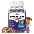 Lion's Mane Mushroom gummies for focus