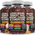 Lion's Mane mushroom gummies for wellness