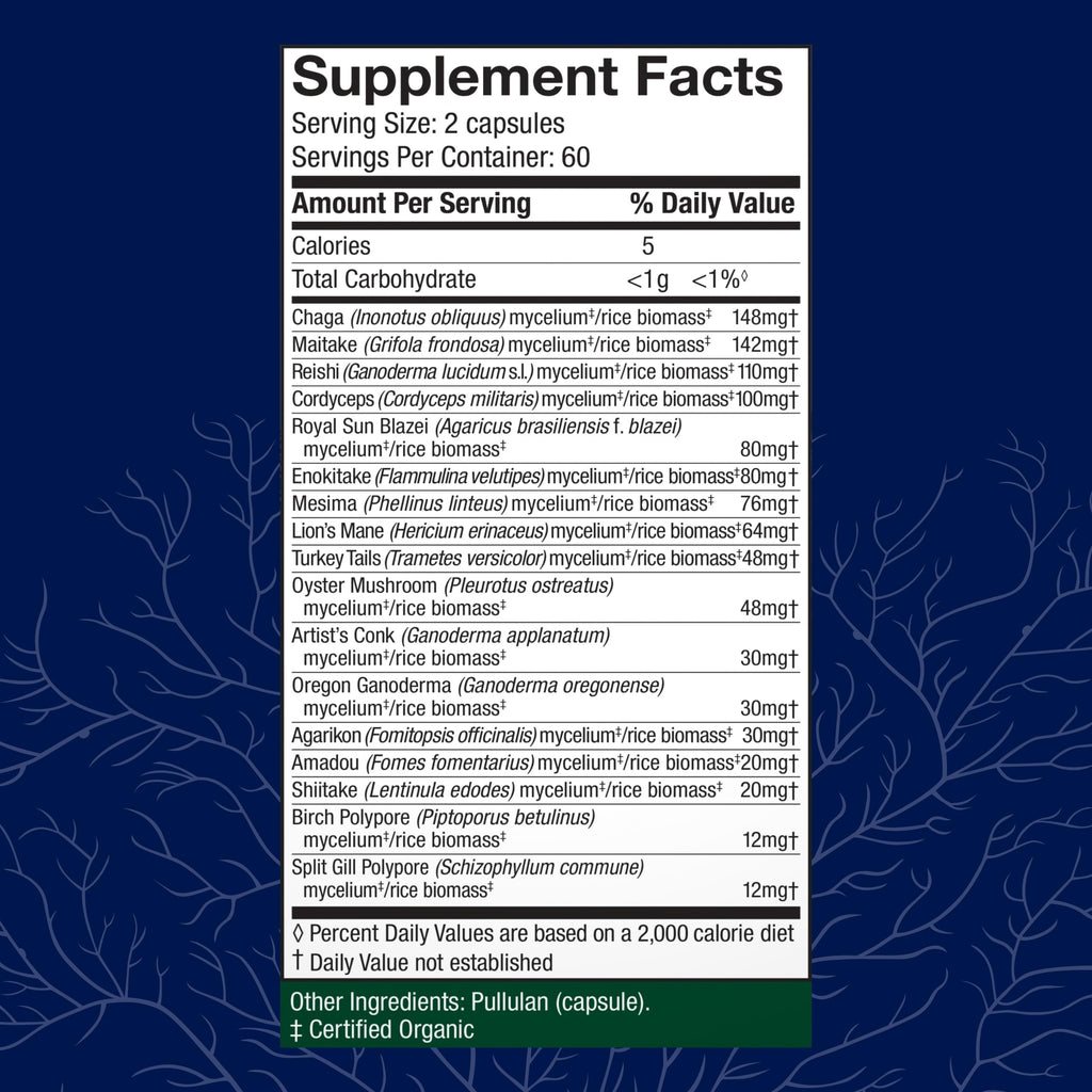Lion's Mane mushroom health benefits