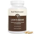 lion's mane mushroom health benefits