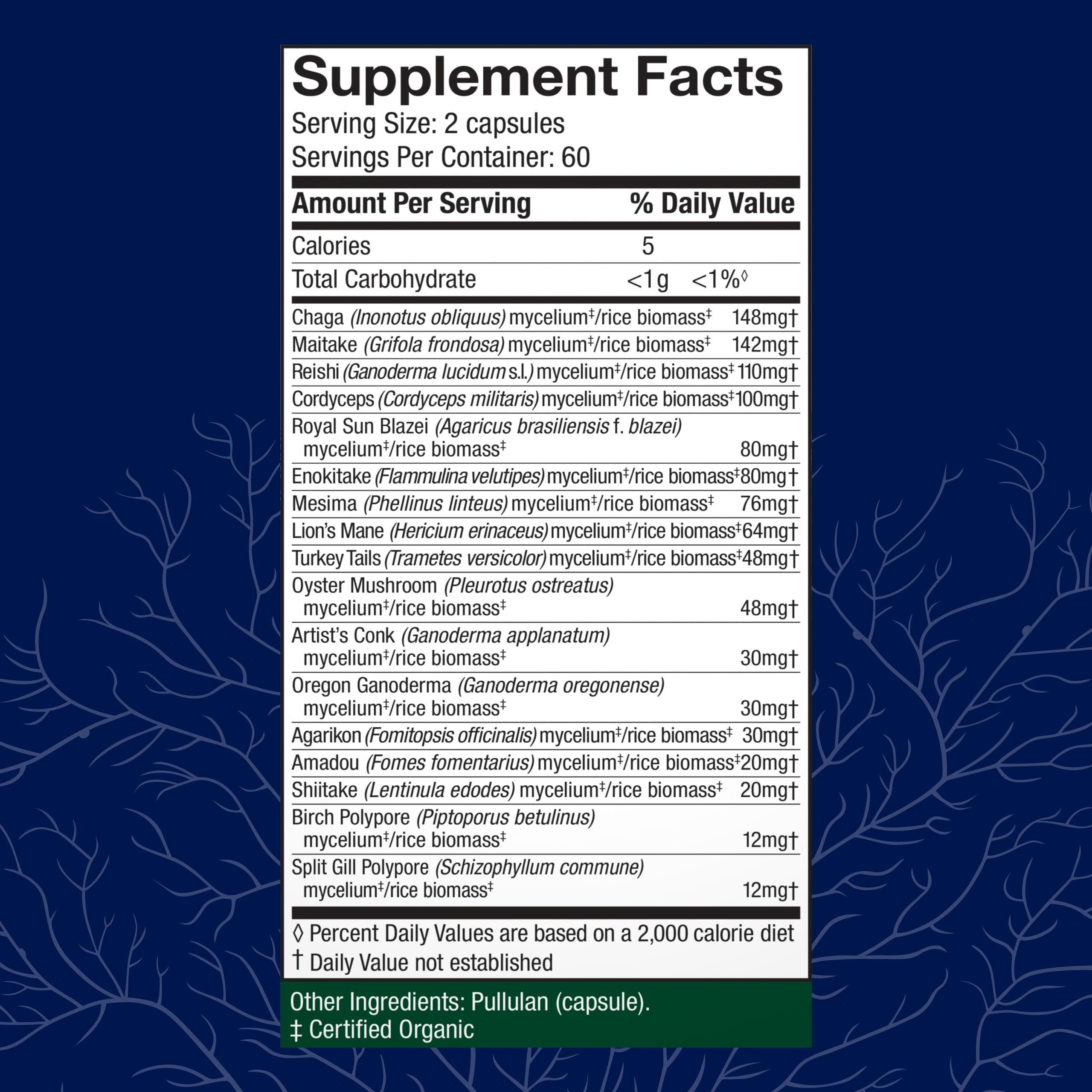 Lion's Mane mushroom health benefits