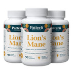 lion's mane mushroom health benefits