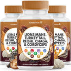 lion's mane mushroom health benefits