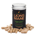 lion's mane mushroom health benefits