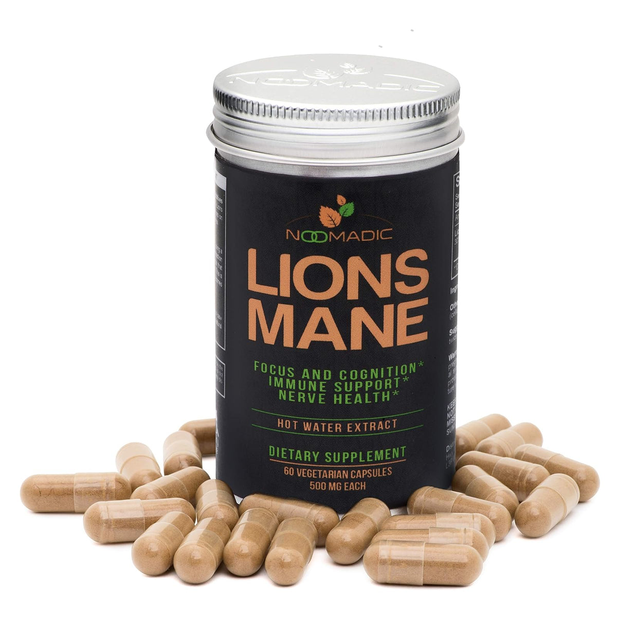 lion's mane mushroom health benefits