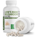 lion's mane mushroom health benefits