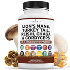 lion's mane mushroom health benefits