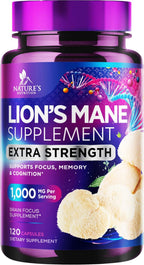 Lion's Mane mushroom health benefits