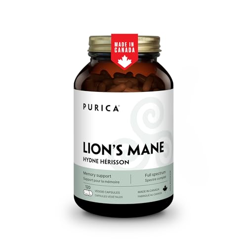 lion's mane mushroom health benefits