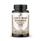 Lion's Mane mushroom health benefits