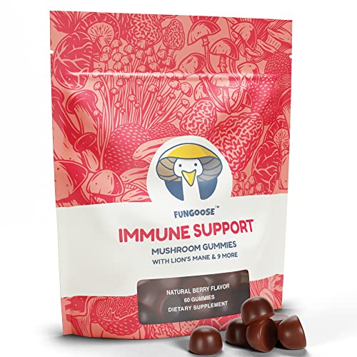 Lion's Mane mushroom health benefits
