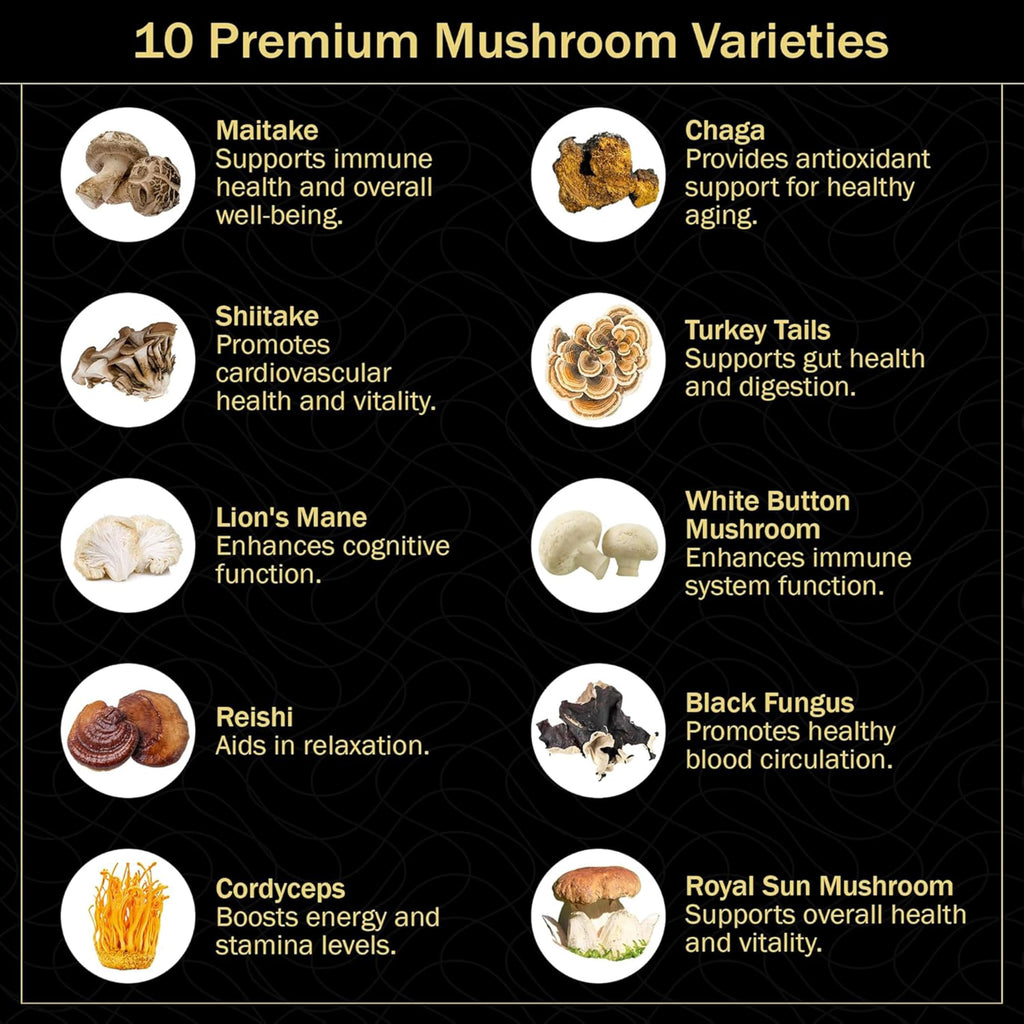 Lion's Mane mushroom health benefits