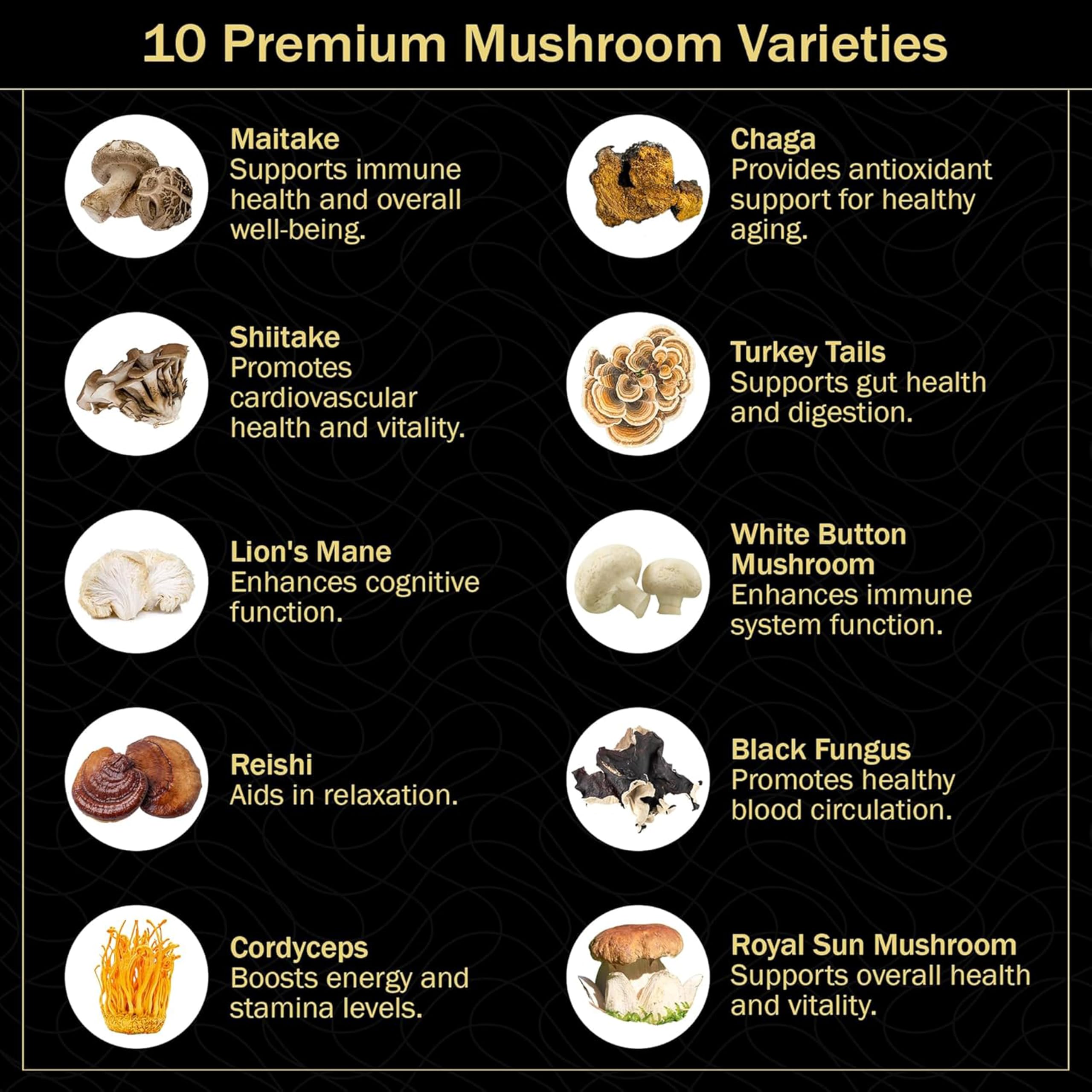 Lion's Mane mushroom health benefits