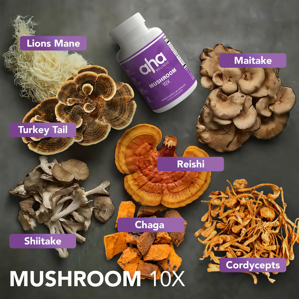 Lion's Mane mushroom health benefits