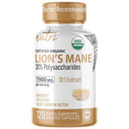 lion's mane mushroom health benefits