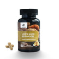 Lion's Mane mushroom health benefits