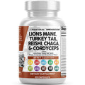 lion's mane mushroom health benefits