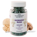 Lion's Mane mushroom health benefits