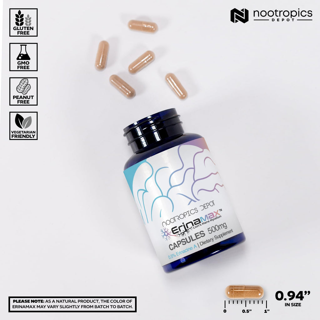Lion's Mane mushroom health benefits