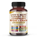 Lion's Mane mushroom health benefits