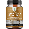 lion's mane mushroom health benefits