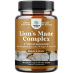 lion's mane mushroom health benefits
