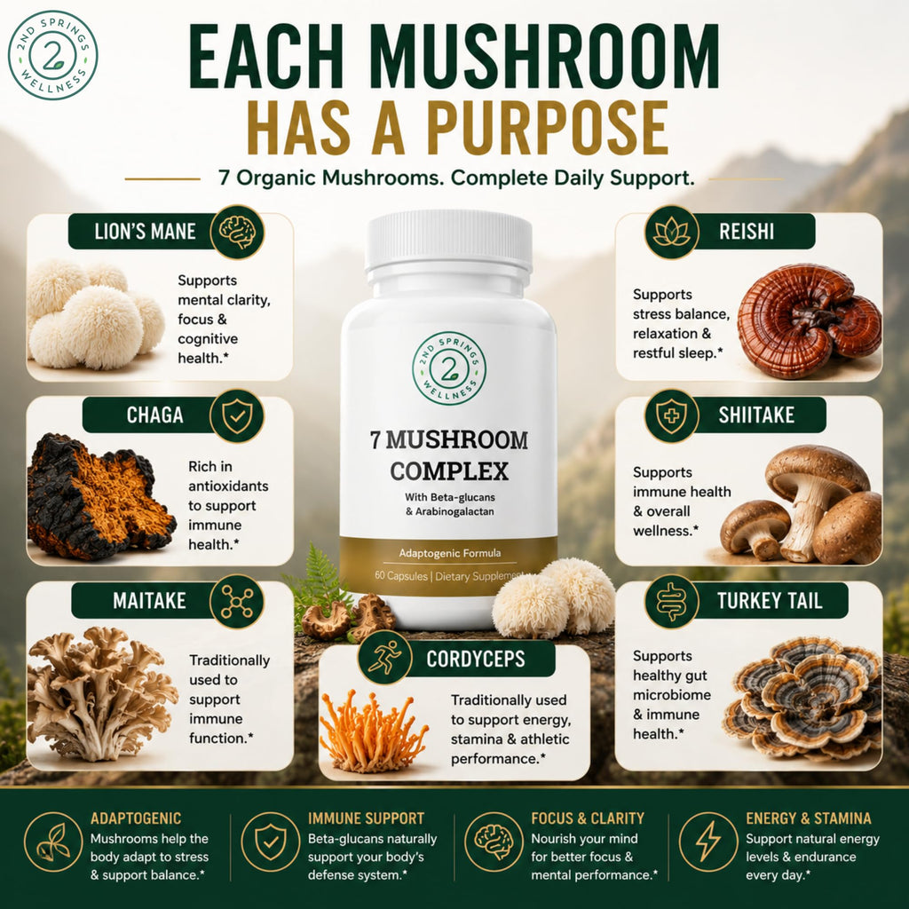 Lion's Mane mushroom health benefits
