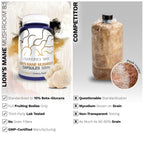 lion's mane mushroom immune support