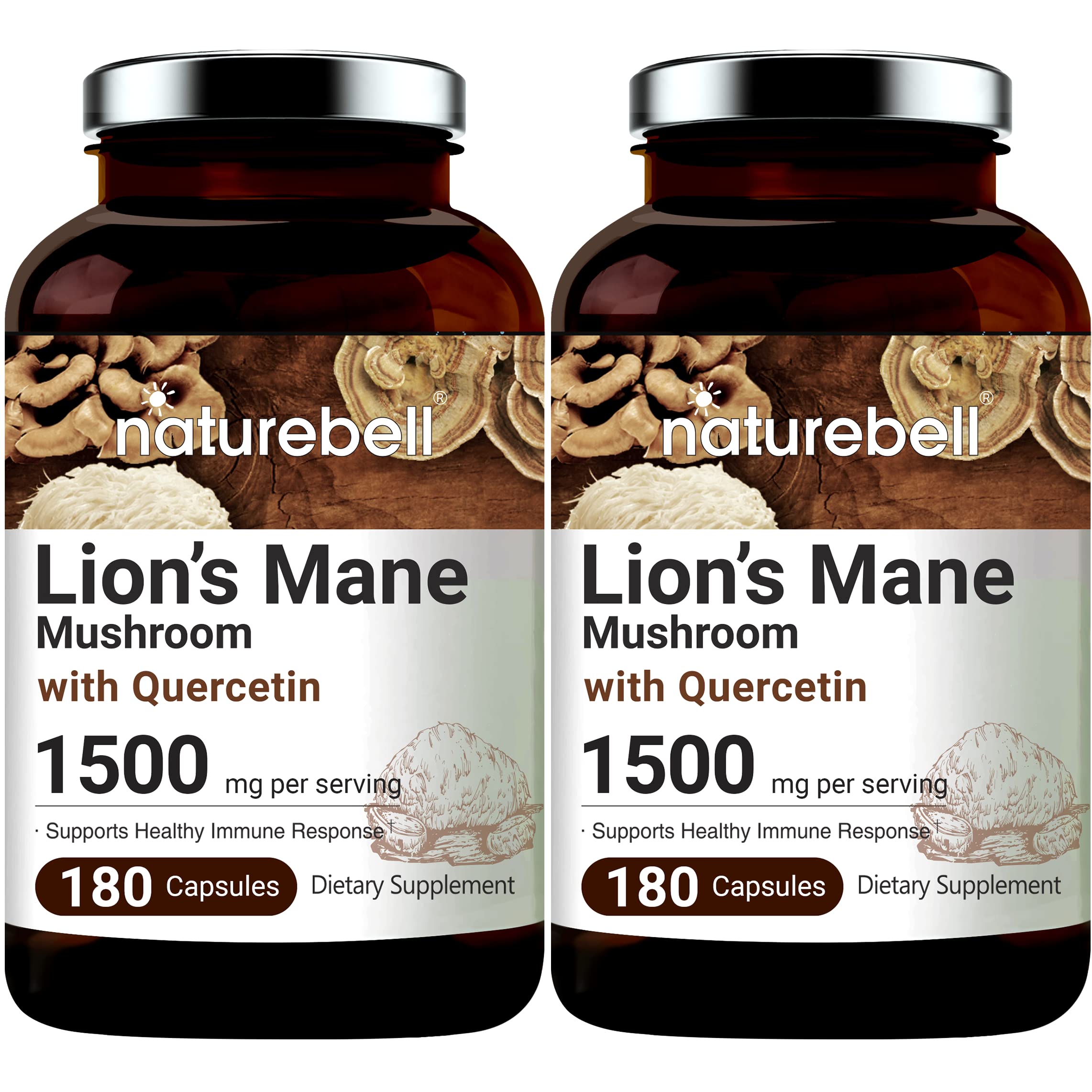 Lion's Mane mushroom immune support