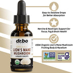 lion's mane mushroom liquid extract