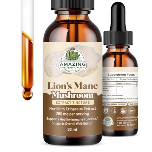 Lion's Mane mushroom liquid extract