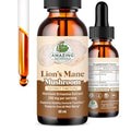 Lion's Mane mushroom liquid extract
