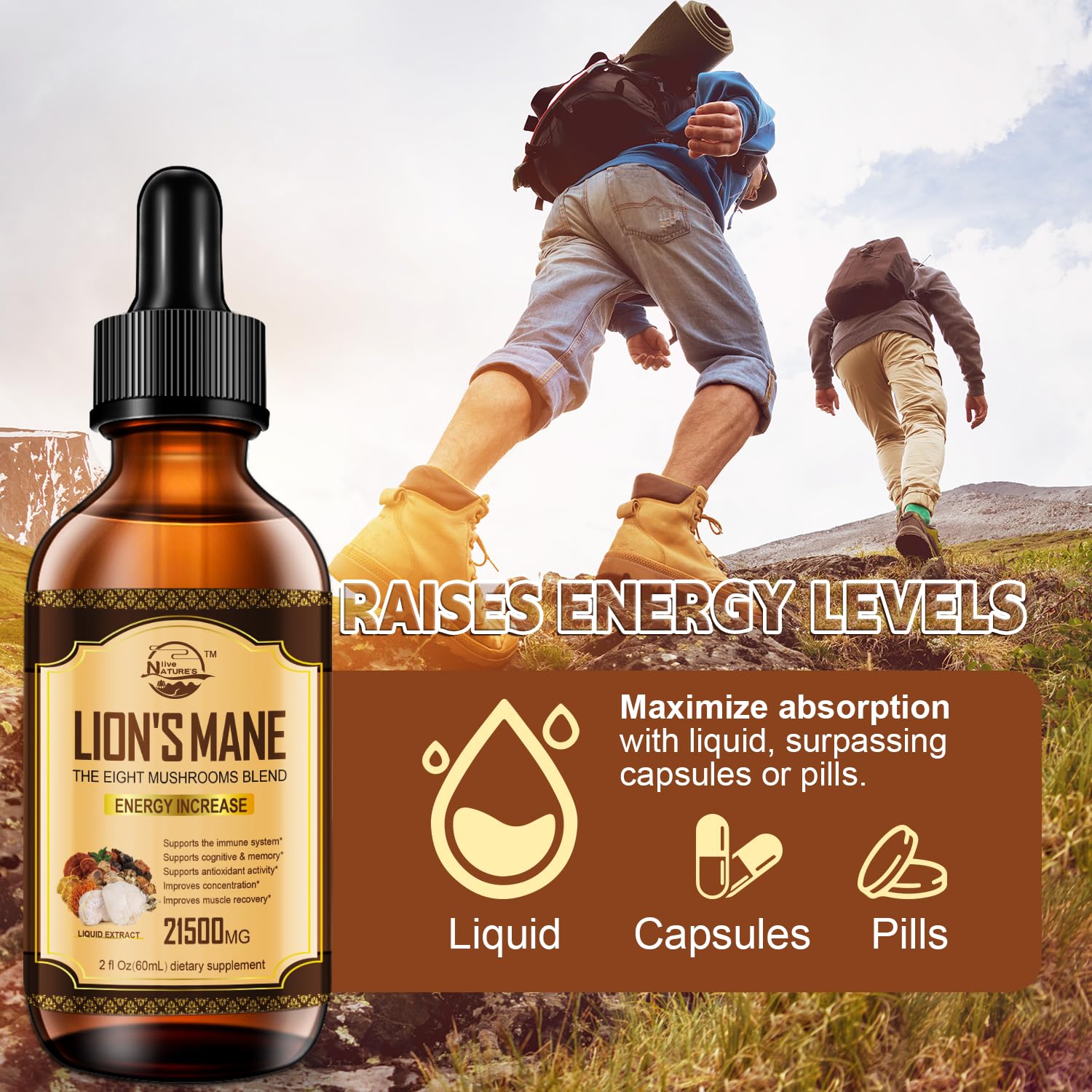 lion's mane mushroom liquid tincture