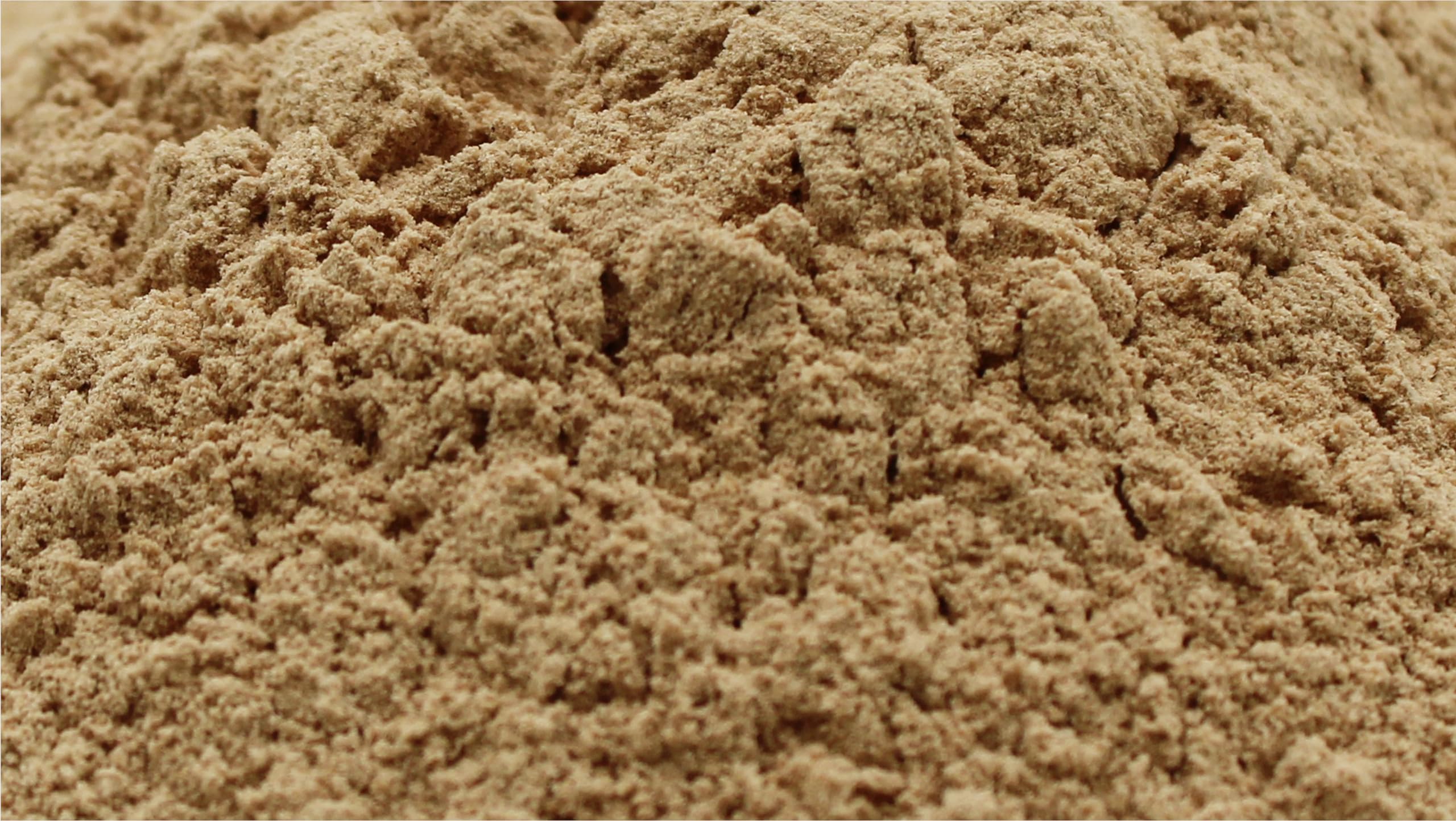 Lion's mane mushroom powder for energy and focus
