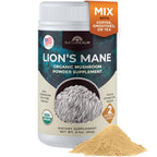 lion's mane mushroom powder supplement