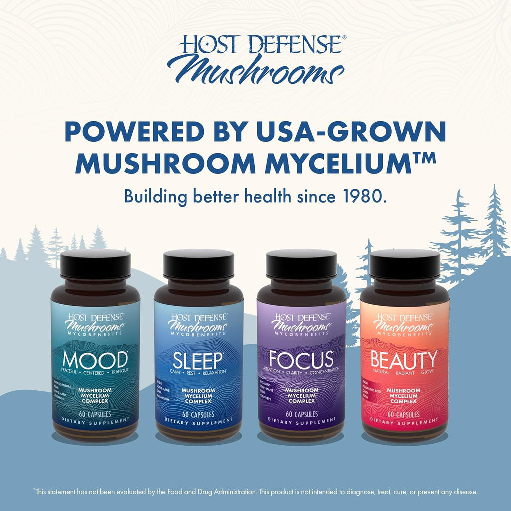 lion's mane mushroom promotes restful sleep