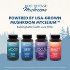 lion's mane mushroom promotes restful sleep